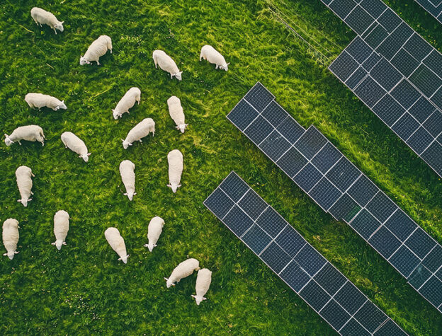 Proposals - Molescroft Solar Farm